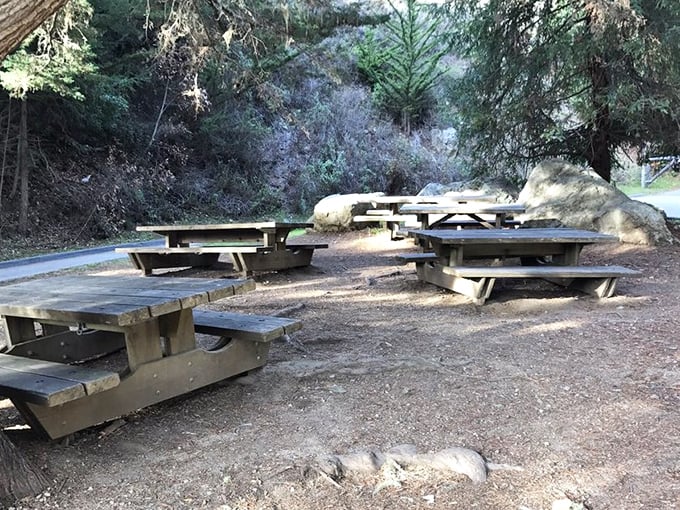 Picnic tables where lunch tastes better than any five-star restaurant. The secret ingredient? That view you can't stop staring at.