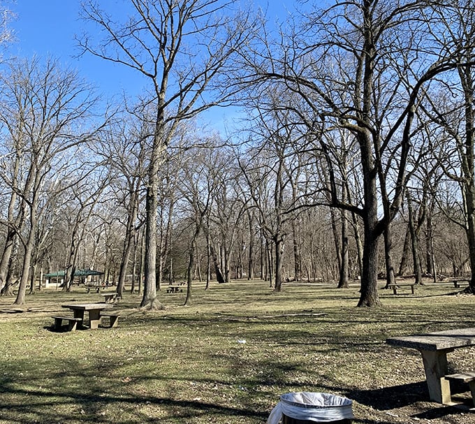 Winter reveals the garden's bones—a reminder that even in dormancy, there's beauty in the promise of spring's return.