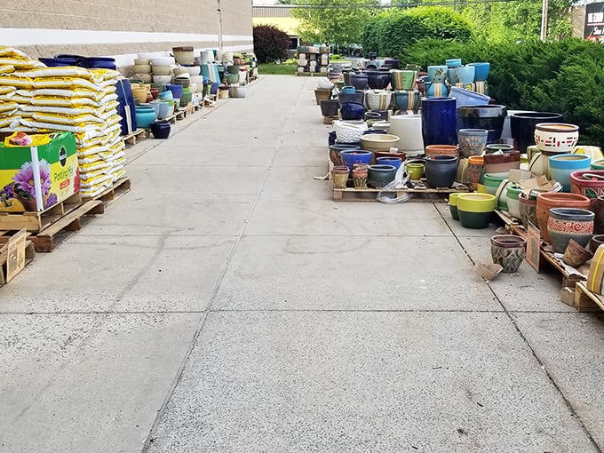 Outdoor garden section featuring ceramic pots in every imaginable color and size. Houseplant addictions suddenly seem much more financially sustainable.