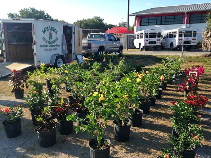 Green thumbs rejoice—these plants have been Florida-tested and are ready for their next backyard adventure.