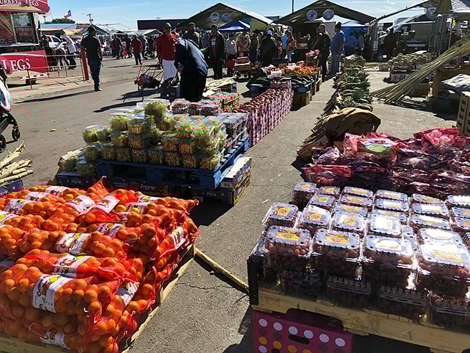 Fresh produce that puts supermarkets to shame. These fruits and vegetables didn't spend two weeks on a truck—they spent two hours on a truck!