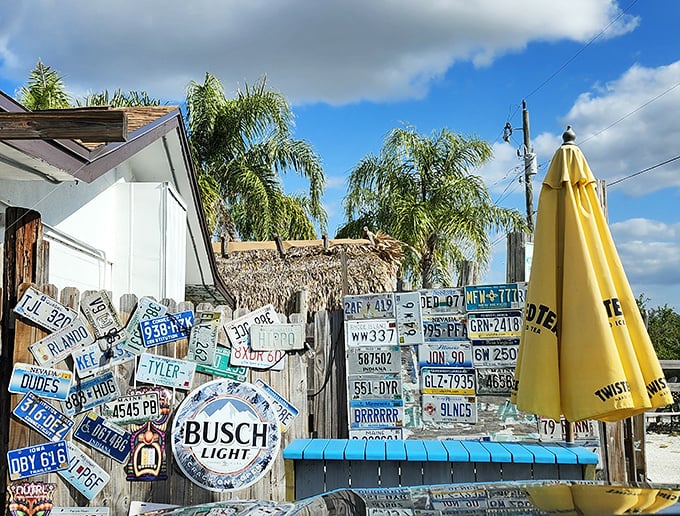 License plates from visitors past create a mosaic of memories on the wall—each representing someone who found their way to this riverside gem.