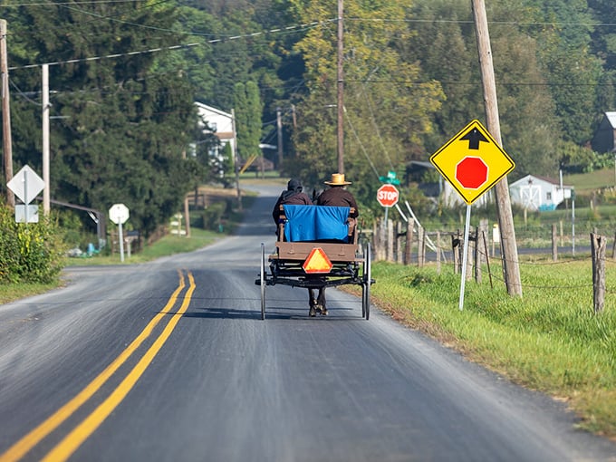 The slow vehicle sign isn't a warning—it's an invitation to reconsider your own pace. Life lessons from the back of an Amish buggy.