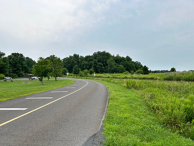The park's paved entrance road invites cyclists and walkers – a gentle curve leading into verdant wilderness.