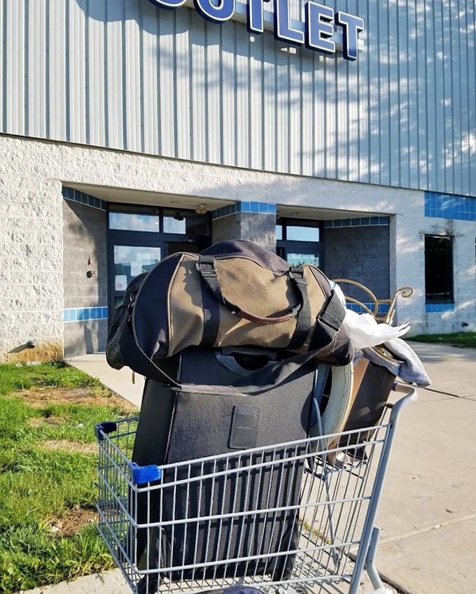 Victory looks like this – a shopping cart loaded with the day's discoveries, ready to transform someone's home without transforming their budget.