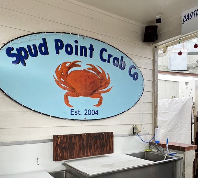 The sign says it all—established in 2004, but the flavors feel like they've been perfected for centuries.
