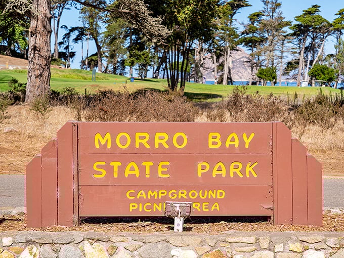 The park's welcoming sign promises adventures that range from marshmallow roasting to wildlife spotting, all within a stone's throw.