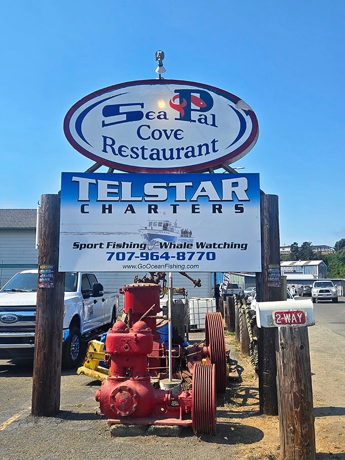 The sign promises not just a meal but an entire coastal experience—sport fishing, whale watching, and seafood that was swimming this morning.