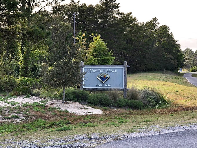 Welcome to paradise: The unassuming entrance to Grayton Beach State Park—where the modest signage inversely correlates to the spectacular beauty waiting beyond.