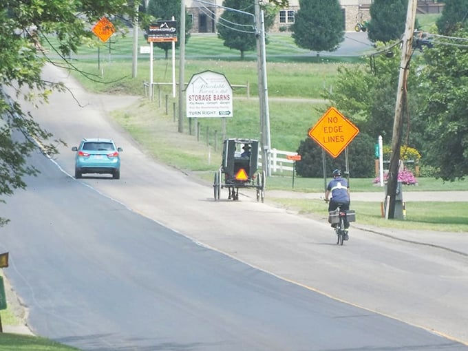 Three forms of transportation sharing one road—a car, a buggy, and a bicycle. The perfect metaphor for how different paces of life coexist in Amish country.