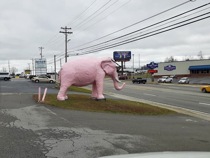 From the road, Ellie serves her purpose perfectly – an unexpected burst of pink that makes drivers do a double-take and reach for their camera phones.