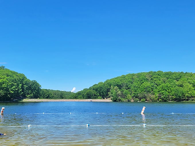 Greenbrier State Park's crystal waters offer a refreshing escape just minutes from downtown – nature's own swimming pool amid Maryland's greenery.