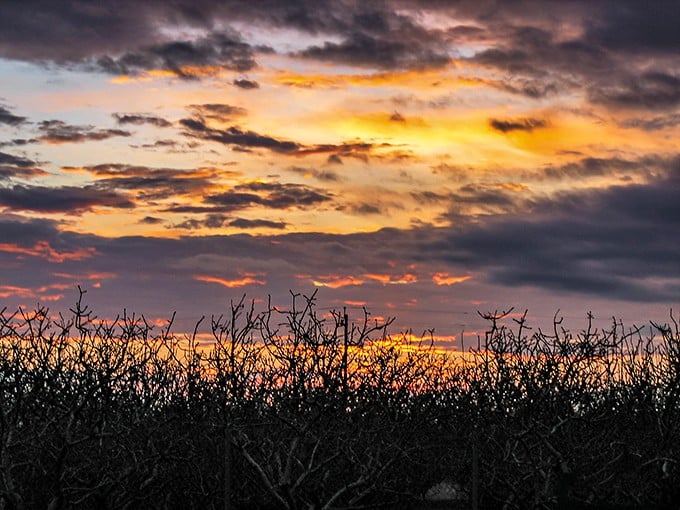 Central Valley sunsets put on a daily light show that no big-city entertainment can match – nature's free gift to Huron residents.