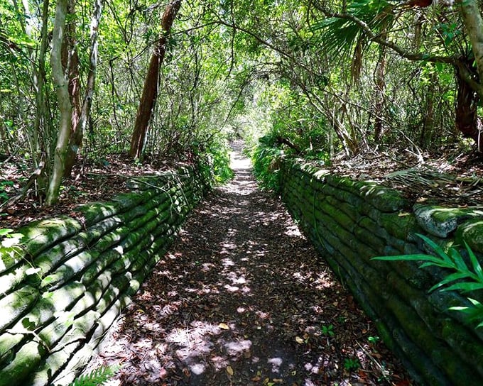 Indiana Jones would approve: This moss-covered trail, flanked by ancient stone walls, feels like the entrance to a lost tropical civilization.