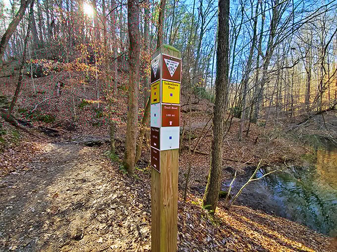 Trail markers: the unsung heroes preventing your "quick nature walk" from becoming an episode of "Survivor: Virginia Edition."