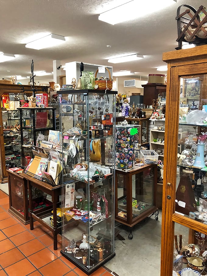 Every glass case contains dozens of small stories—tiny treasures that survived decades of spring cleanings to find new appreciation here.