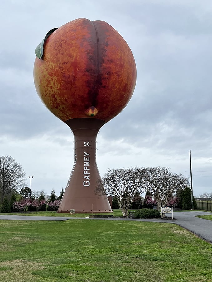 Spring blossoms frame the Peachoid against cloudy skies. Even in the off-season, this peachy icon draws crowds of curious onlookers.