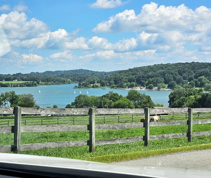 Rural Pennsylvania at its finest—where white fences frame postcard views and sailboats dot the lake like confetti on blue velvet.