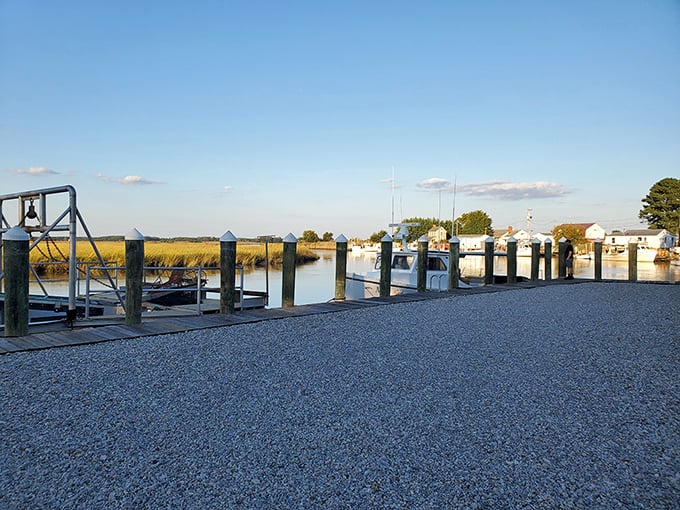 The dock outside offers a serene view of the Leipsic River, where your dinner might have been swimming just hours earlier.