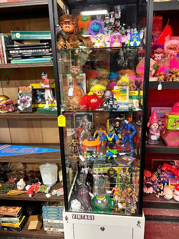 Troll dolls, Furbies, and action figures frozen in time—a plastic pantheon of toys that once dominated Christmas lists and birthday wishes.