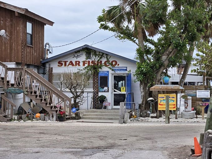 The simple exterior of Star Fish Company is the seafood equivalent of "don't judge a book by its cover" – what's inside is magnificent.