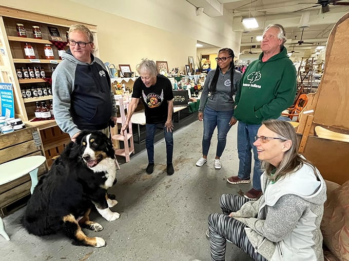Community in action—volunteers, visitors, and four-legged friends creating the warm atmosphere that makes this more than just a store.