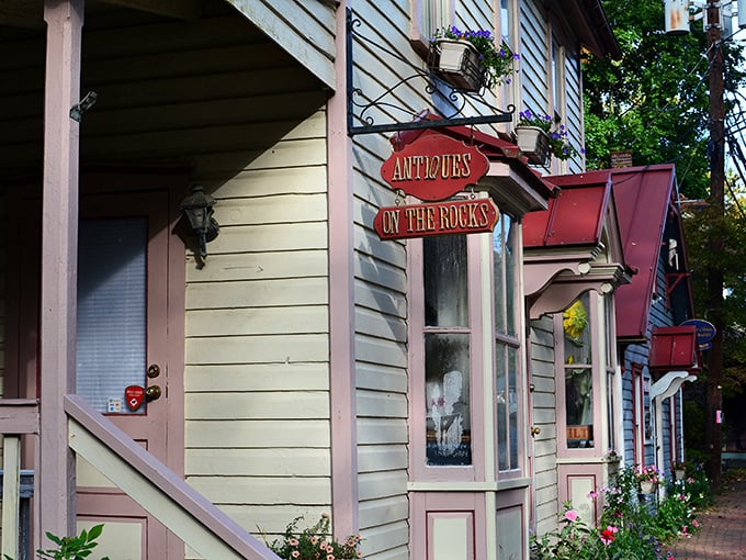 "Antiques on the Rocks" isn't a new cocktail—it's a treasure trove where yesterday's ordinary becomes today's extraordinary find.