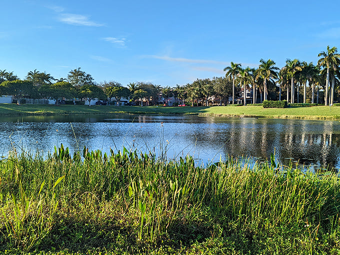 Community parks in Delray prove that paradise doesn't require an admission fee—just a willingness to slow down and appreciate the view.