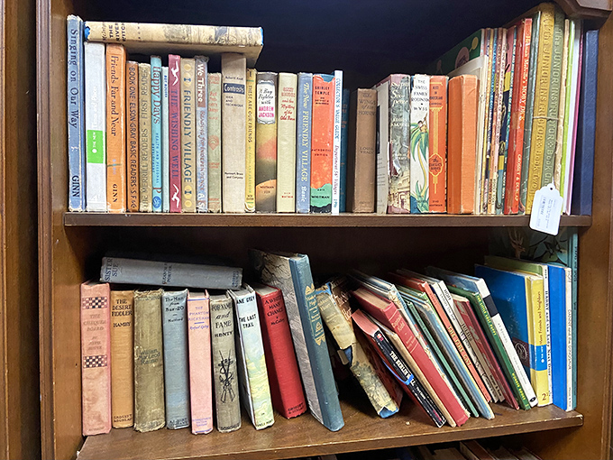 Books with character—literally and figuratively. These well-loved spines represent adventures waiting to be rediscovered, their pages holding both stories and history. 