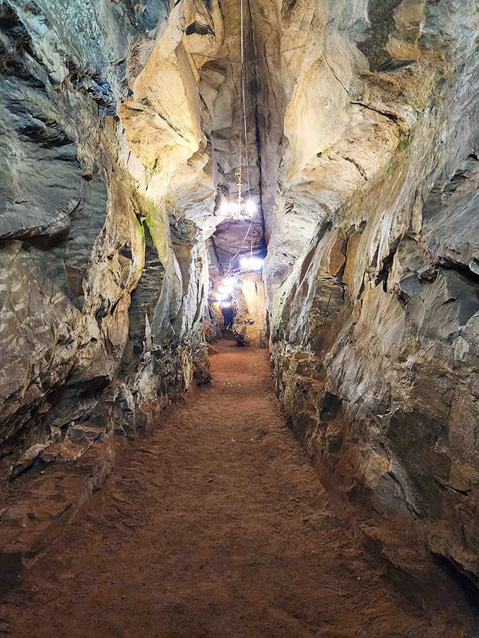 The narrow passage beckons adventurers deeper into Earth's secrets. These weathered walls have witnessed geological dramas unfolding since before humans walked the planet.