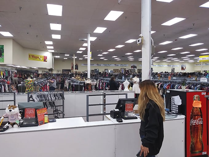 The checkout counter – final gateway between discovery and ownership. After the thrill of the hunt comes the satisfaction of incredible savings. 