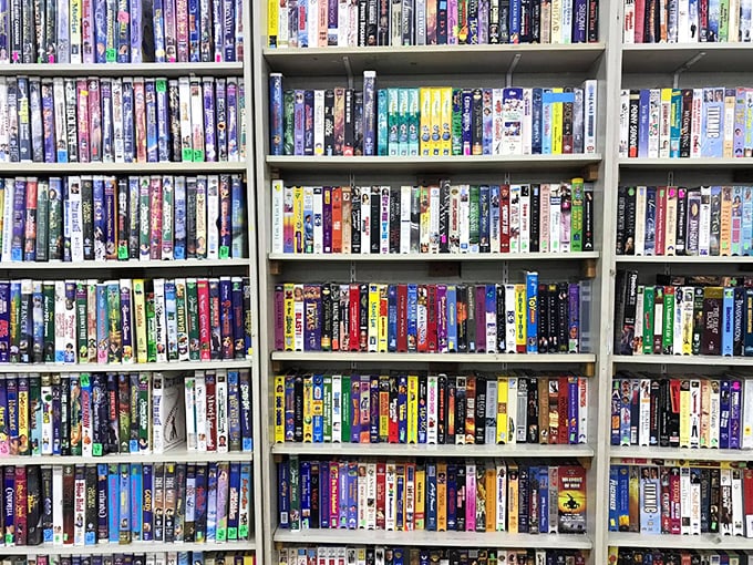 A wall of nostalgia in VHS and DVD form – physical media that reminds us of a time before everything was available at the click of a button.