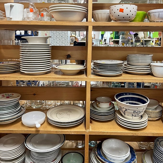 Dish paradise for the budget-conscious host—where mismatched plates become "eclectic table settings" with the right attitude.
