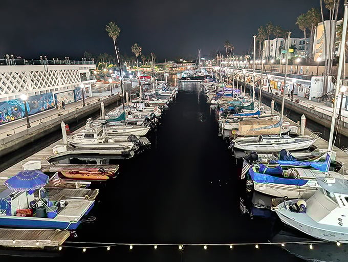 Where the boats deliver tomorrow's menu – fresher than this and you'd need scuba gear to eat.