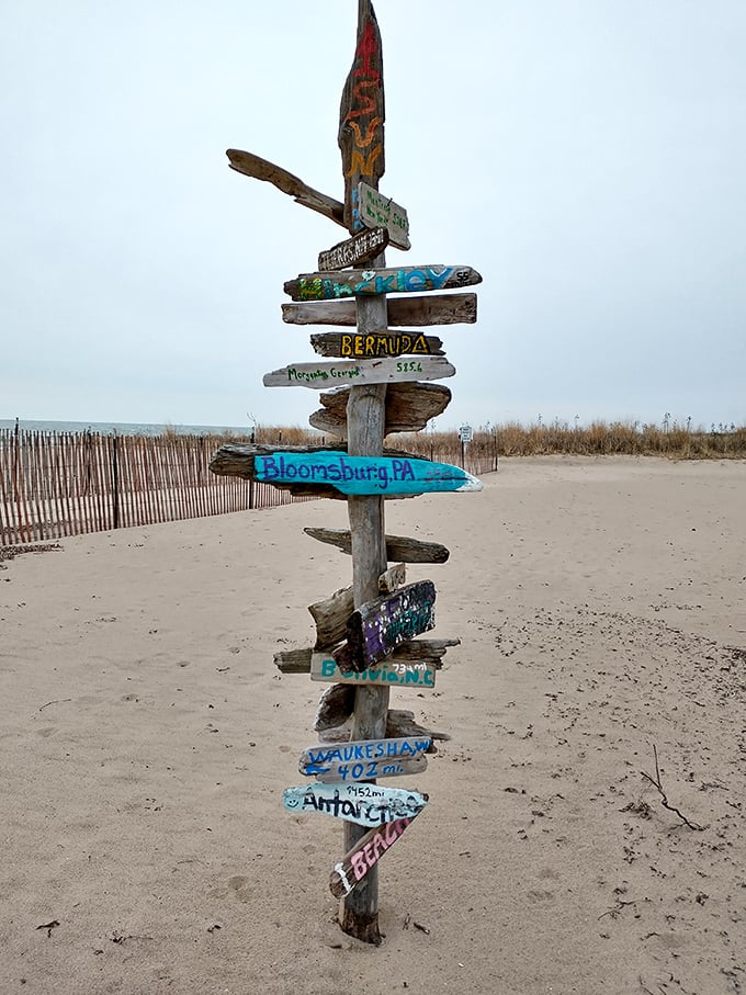 The beach equivalent of a passport stamp collection—this driftwood signpost reminds us that paradise is closer than we thought.