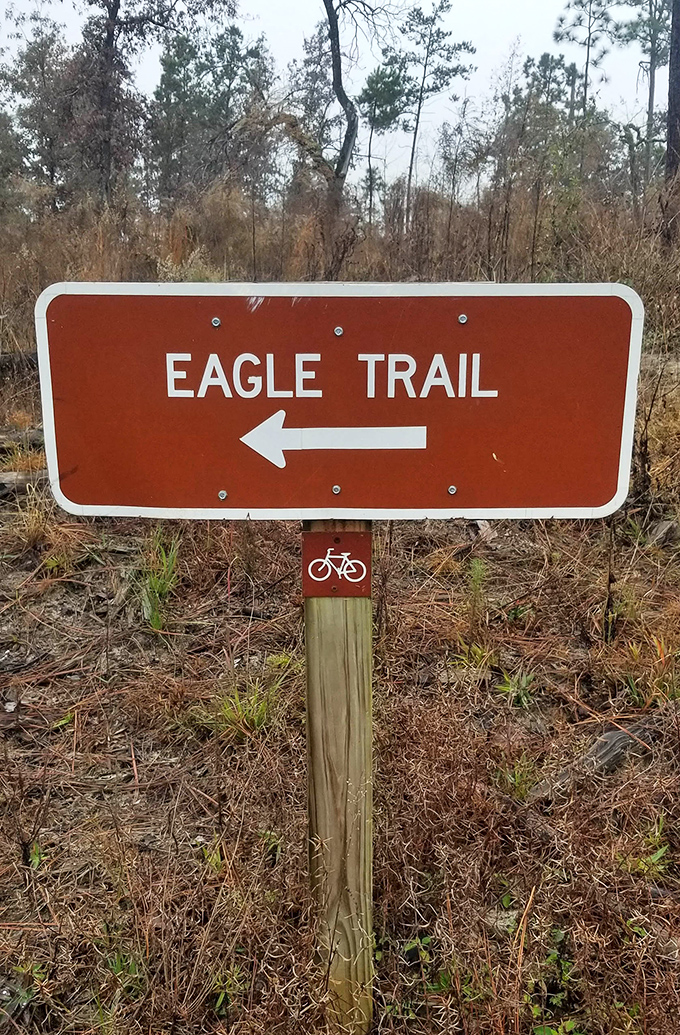 Eagle Trail: where the journey itself is the destination, and "taking a hike" becomes a compliment rather than an insult.