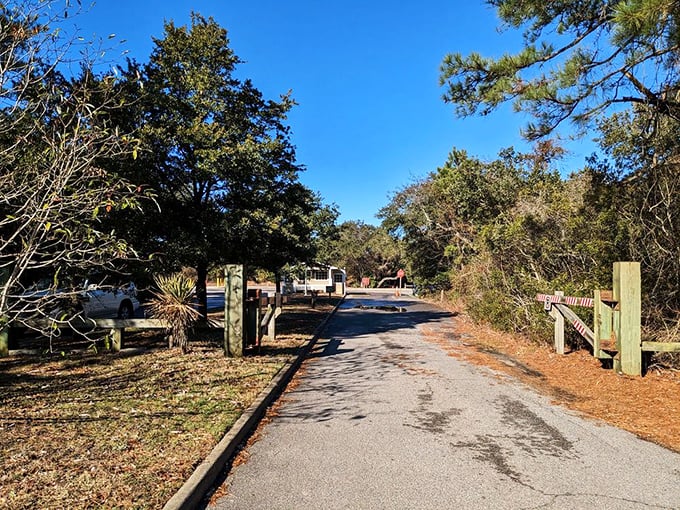 The entrance road promises adventures ahead—like the opening credits to your own personal nature documentary, minus the dramatic voiceover.