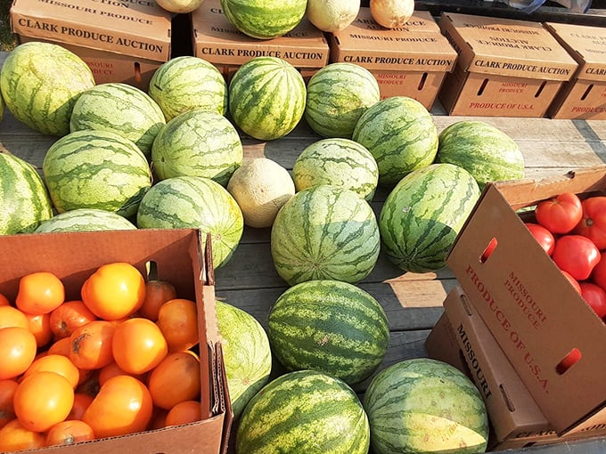 Summer's sweetness captured in perfect watermelons and sun-ripened tomatoes—farm-fresh produce that makes supermarket offerings seem like pale imitations.