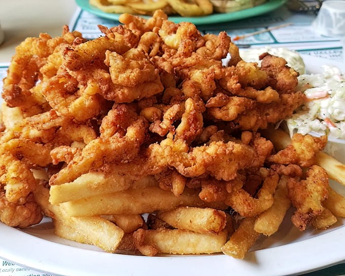Fried clam strips that crackle with coastal memories, piled high enough to make you wonder if you should have brought reinforcements to help finish them.
