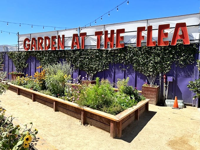 Community gardens bloom amid commerce, proving that beauty and business can coexist in the most harmonious ways.