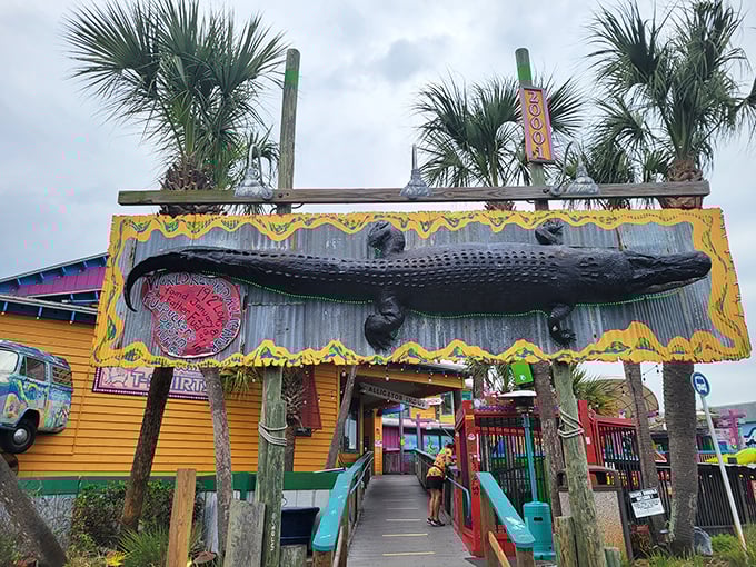 Gator Beach—where Florida reminds visitors that beneath all the vacation charm, it's still home to prehistoric reptiles with impressive dental work.