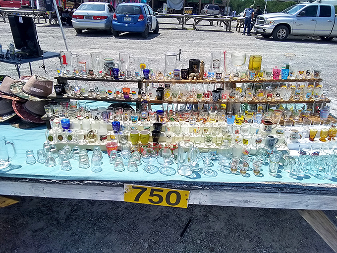 Vintage glassware catches the light and the eye, each cup and mug a tiny time machine to decades past when these vessels toasted special moments.