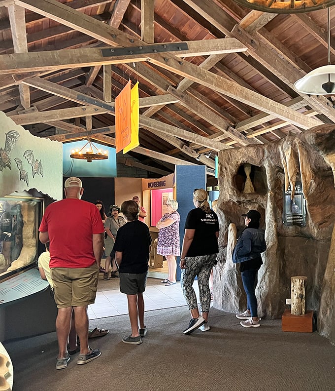 The visitor center offers a taste of what lies below. This educational space prepares explorers before they venture into Florida's underground realm.