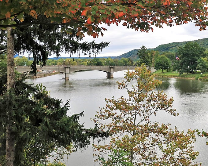 The Hickory Street Bridge isn't just a way to cross the Allegheny – it's a frame for the kind of postcard-perfect views that usually come with a much higher cost of living.
