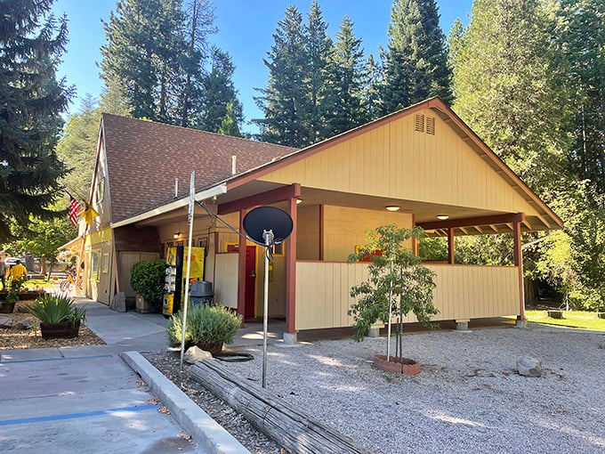 Camping with amenities – because roughing it doesn't mean you can't have a hot shower afterwards.
