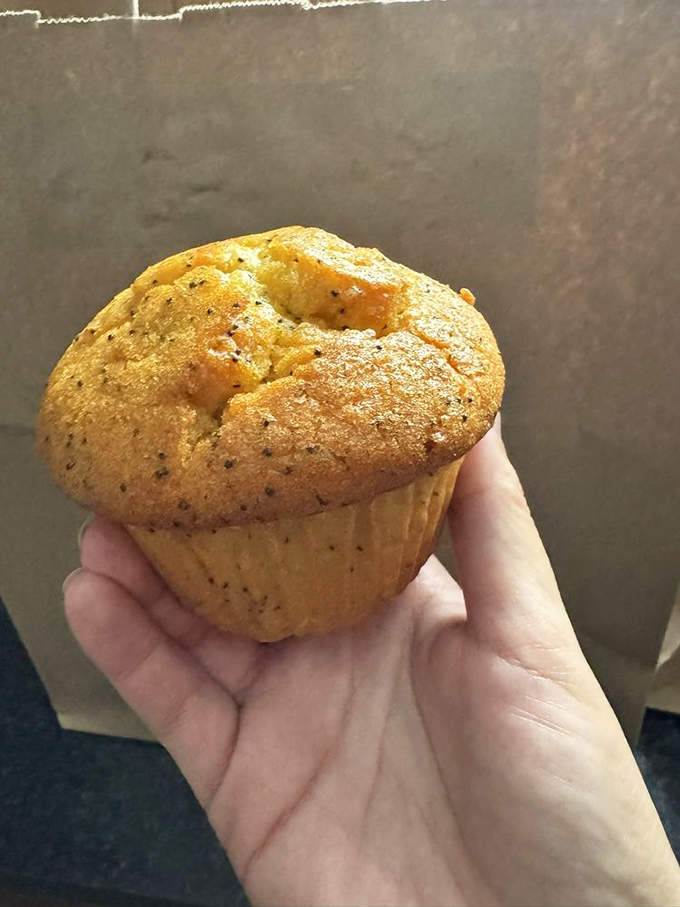 The humble lemon poppy seed muffin—proof that sometimes the simplest pleasures deliver the most satisfaction in one golden, tender package.