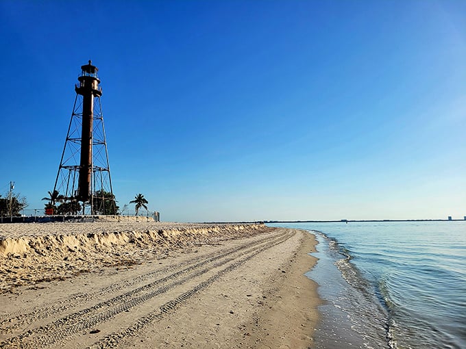 Lighthouse Beach Park at golden hour—where time slows down and even smartphone addicts forget to check their screens.