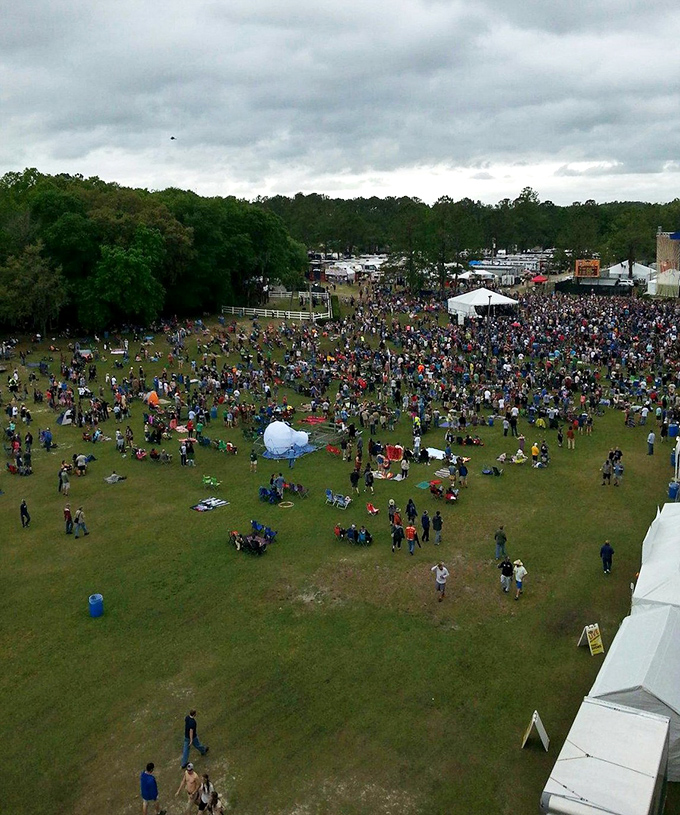 Community comes alive at Live Oak's festivals, where strangers become neighbors over shared blankets and live music. This isn't just an event—it's small-town America's beating heart.