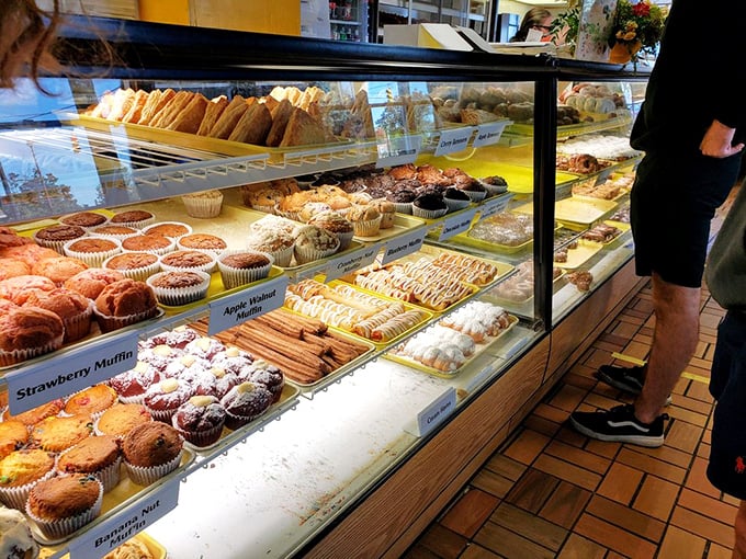 A pastry landscape of muffins, donuts, and treats stretching as far as the eye can see. Like Willy Wonka's factory, but with better lighting and no singing Oompa Loompas.