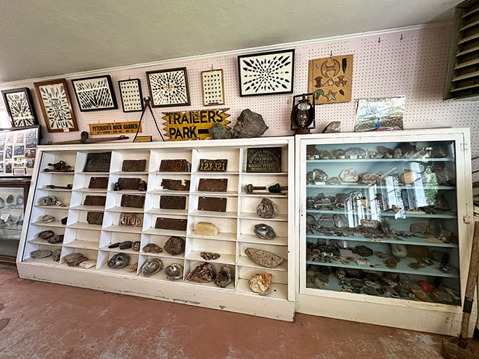 Museum displays showcase the raw materials of dreams—meticulously organized specimens that inspired a lifetime of stone architecture.